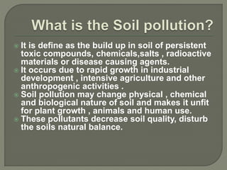 17 .Soil Pollution.pptx