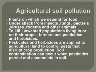 17 .Soil Pollution.pptx