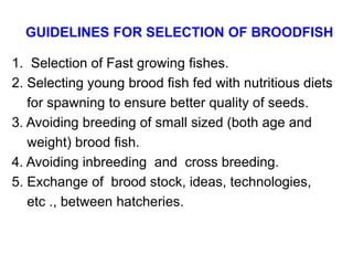 17.SELECTION METHODS AND BREEDING PLANS.ppt