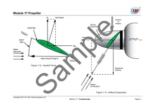 17.1 Fundamentals - Sample.pptx