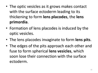 17. DEVELOPMENT OF HUMAN EYE AND EAR 2017.pptx