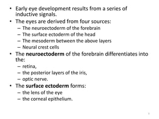 17. DEVELOPMENT OF HUMAN EYE AND EAR 2017.pptx