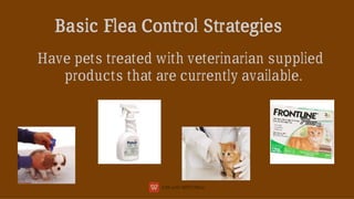 17. flea control.pdf