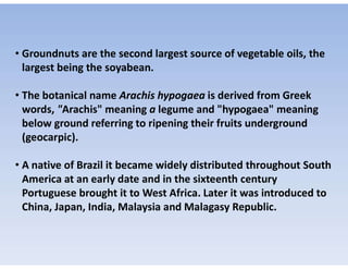 17. Groundnut.pdf | Food & Drink