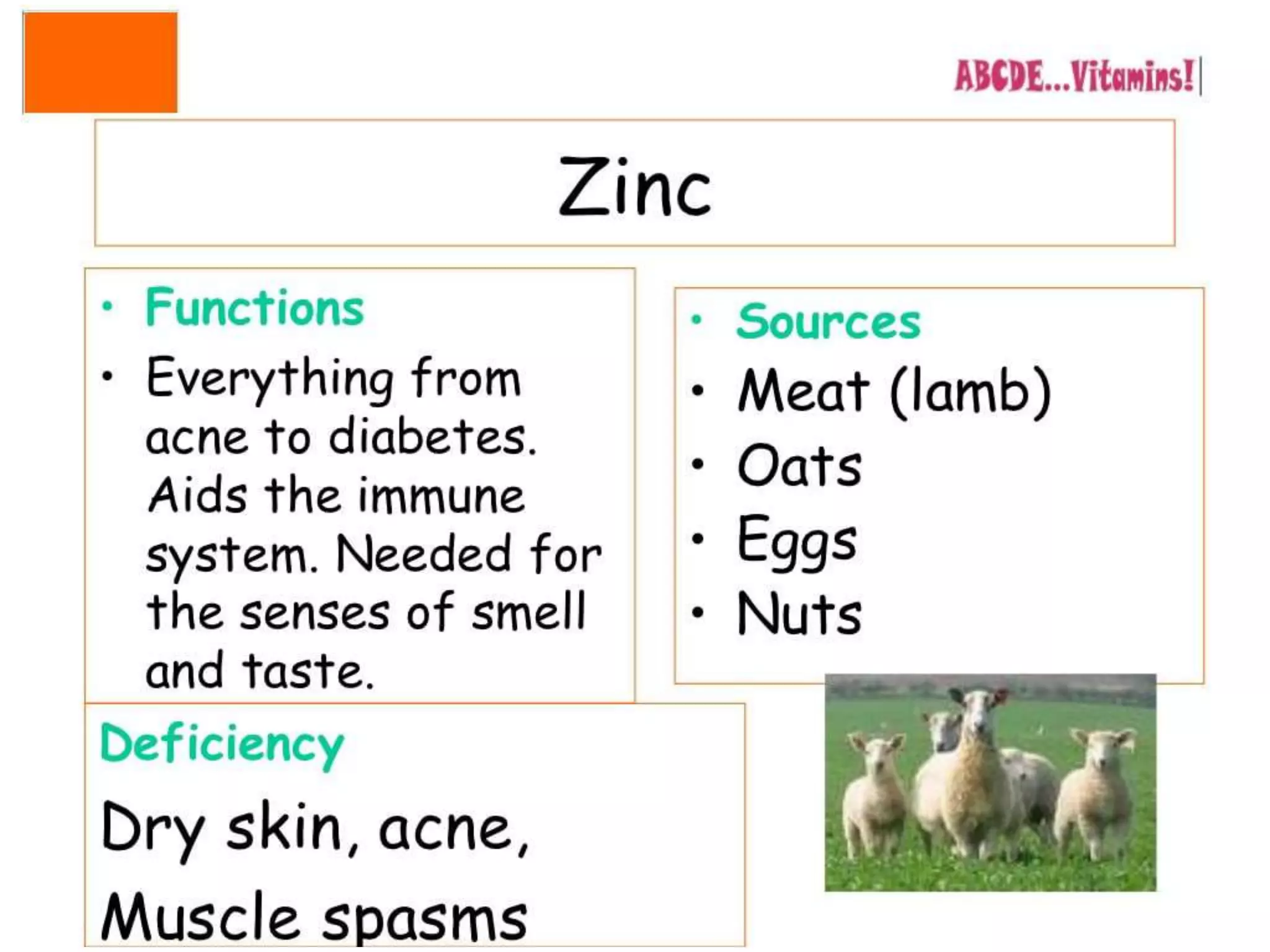 17. Vitamins and minerals (Biochemistry) | PPTX | Chemistry | Science