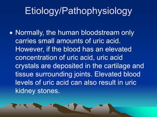 17.gout lecture.ppt