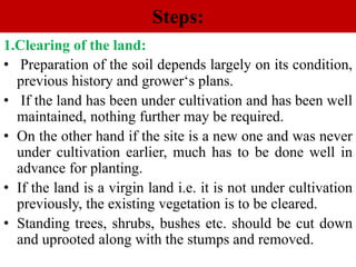 17.Site selection and lay out of orchard.pptx
