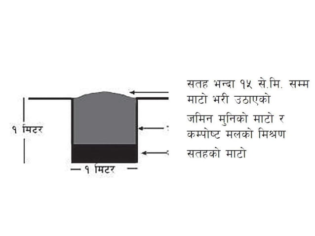 17.Site selection and lay out of orchard.pptx