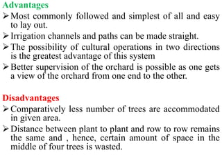 17.Site selection and lay out of orchard.pptx