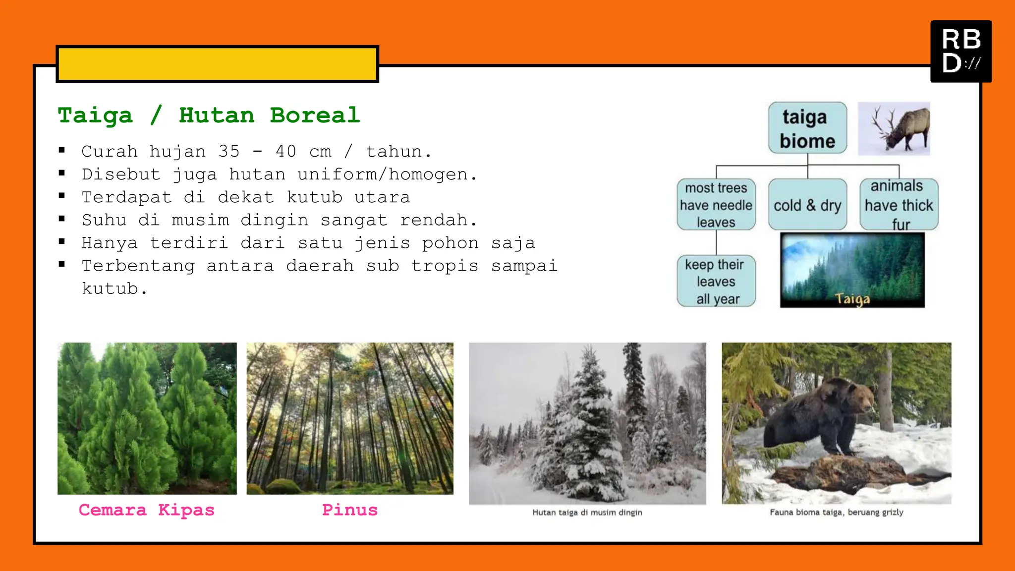 BIOGEOGRAFI - Revisi 0.1.pptx biologi smp | PPTX