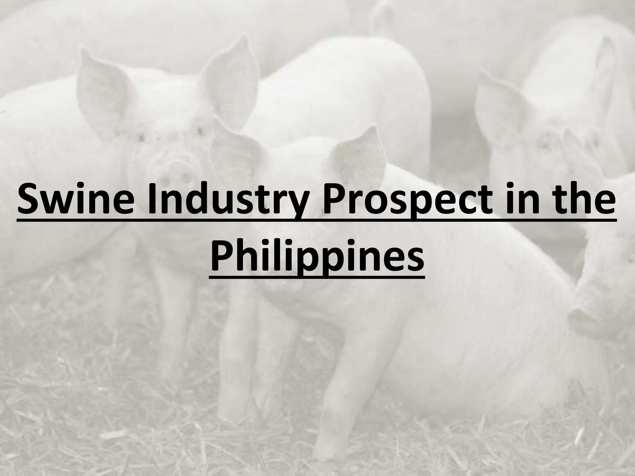 17. swine-industry-prospect_cabantac.pptx