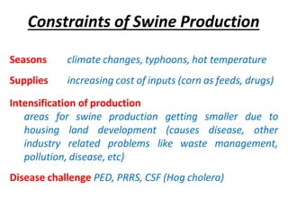 17. swine-industry-prospect_cabantac.pptx