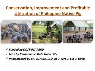 17. swine-industry-prospect_cabantac.pptx