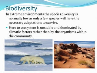 SPECIES DIVERSITY FOR HIGH SCHOOL STUDENTS | PPTX