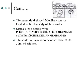 17. Maxillary sinus. antrum of highmore,surgical anatomy and its ...