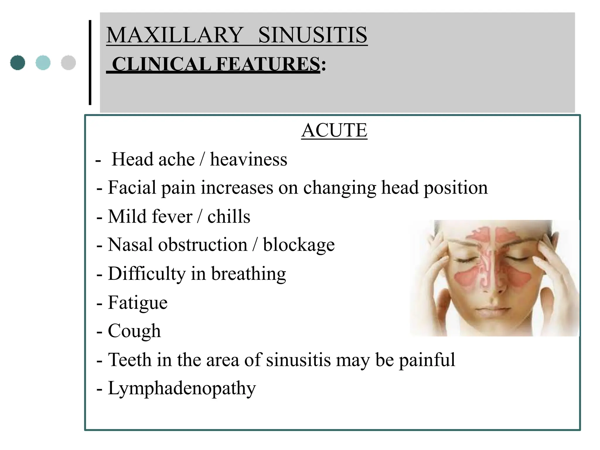 17. Maxillary sinus, antrum of highmore, surgical anatomy | PPTX