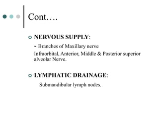 17. Maxillary sinus, antrum of highmore, surgical anatomy | PPTX