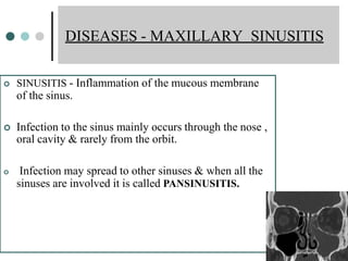 17. Maxillary sinus, antrum of highmore, surgical anatomy | PPTX