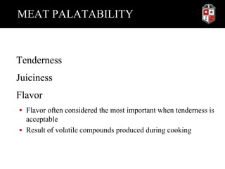 Meat__________Flavour________________.pptx