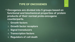 17. Oncogenes powerpoint presentation.pptx