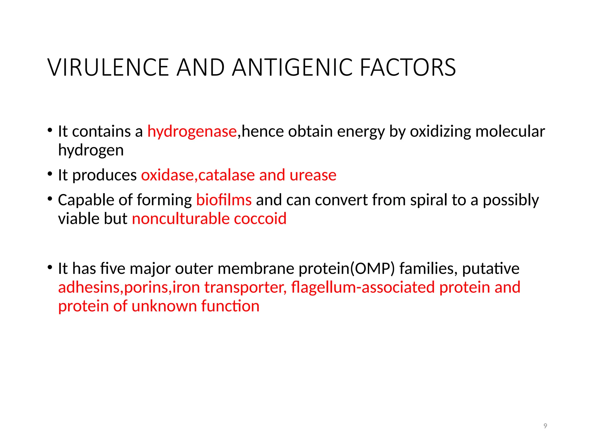 17. Helicobactor.pptx medical microbiology | PPTX