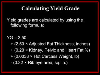 17. Meat Quality and Yield Grades.pptyyyyyyy | PPT
