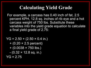 17. Meat Quality and Yield Grades.pptyyyyyyy | PPT