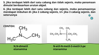KIMIA ORGANIK UNIVERSITAS, SENYAWA ORGANIK AMINA | PDF