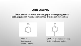 KIMIA ORGANIK UNIVERSITAS, SENYAWA ORGANIK AMINA | PDF