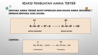 KIMIA ORGANIK UNIVERSITAS, SENYAWA ORGANIK AMINA | PDF