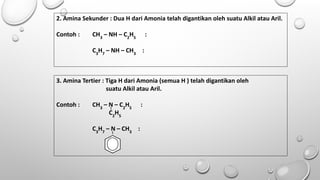 KIMIA ORGANIK UNIVERSITAS, SENYAWA ORGANIK AMINA | PDF