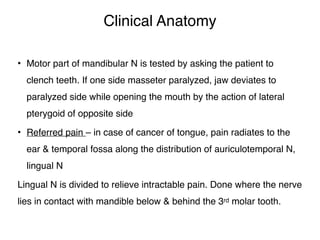 Presentation of Mandibular Nerve - Head & Neck | PDF