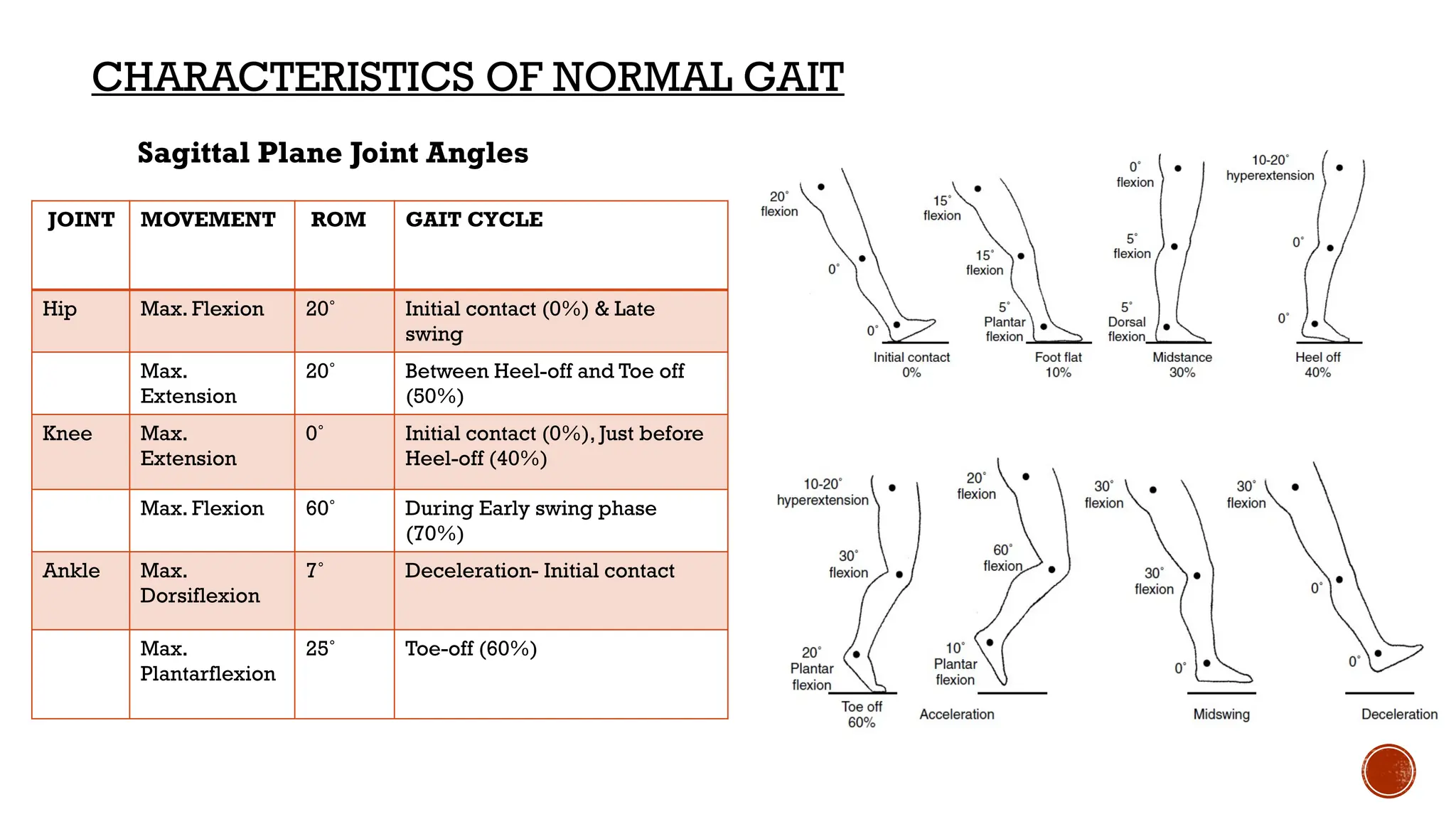 17.BIOMECHANICS OF GAIT gghjhhhyuhjuuugtttffc | PPTX
