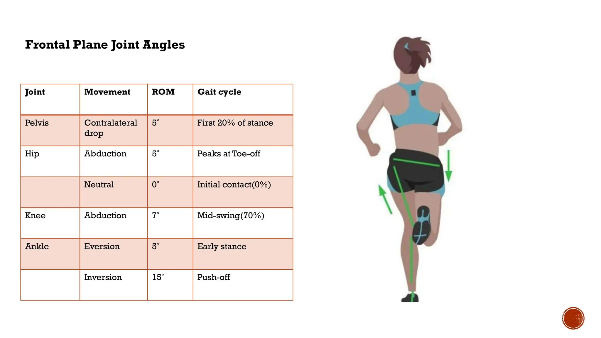17.BIOMECHANICS OF GAIT gghjhhhyuhjuuugtttffc | PPTX