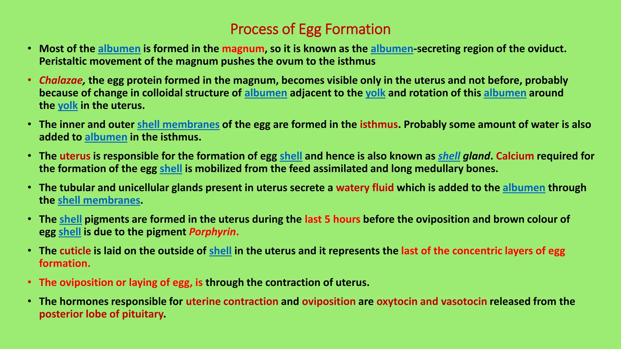 17. egg structure and formation - Copy.pdf