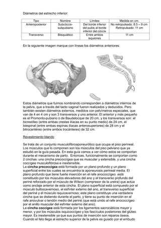 17 canal-de-parto-y-mecanismo-de-parto | PDF