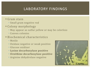 17 -chapter_21_-_non-fermenters | PDF