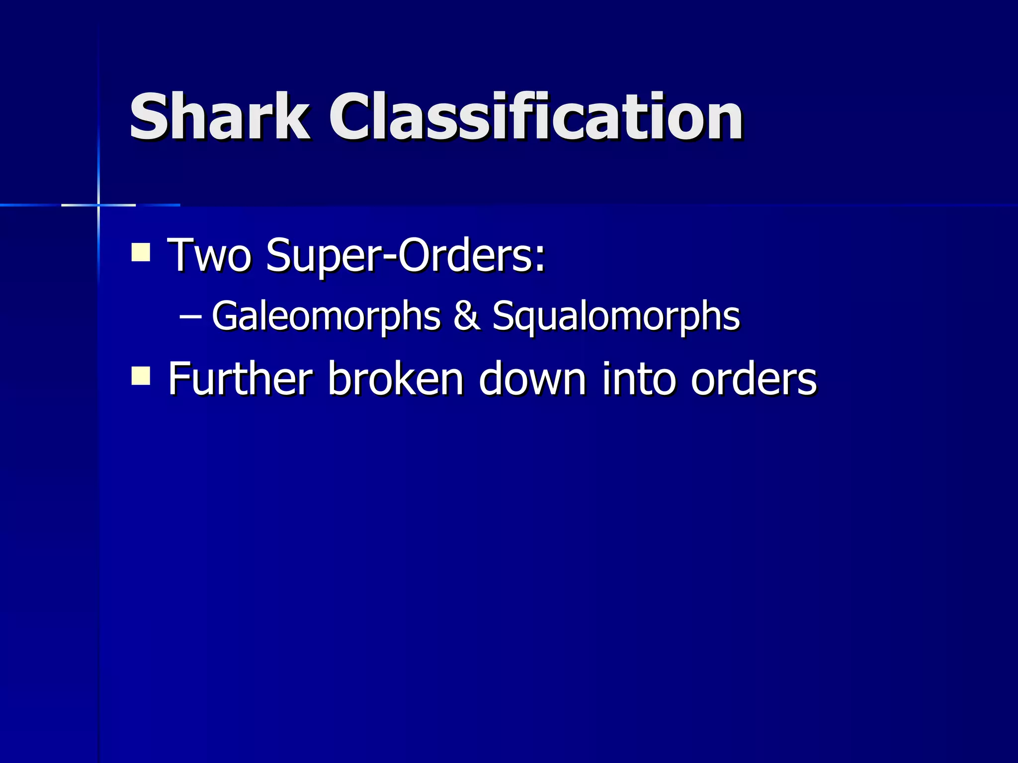 17. Class Chondrichthyes Notes | PPT