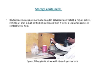 17 - Cryopreservation of fish gametes.pptx