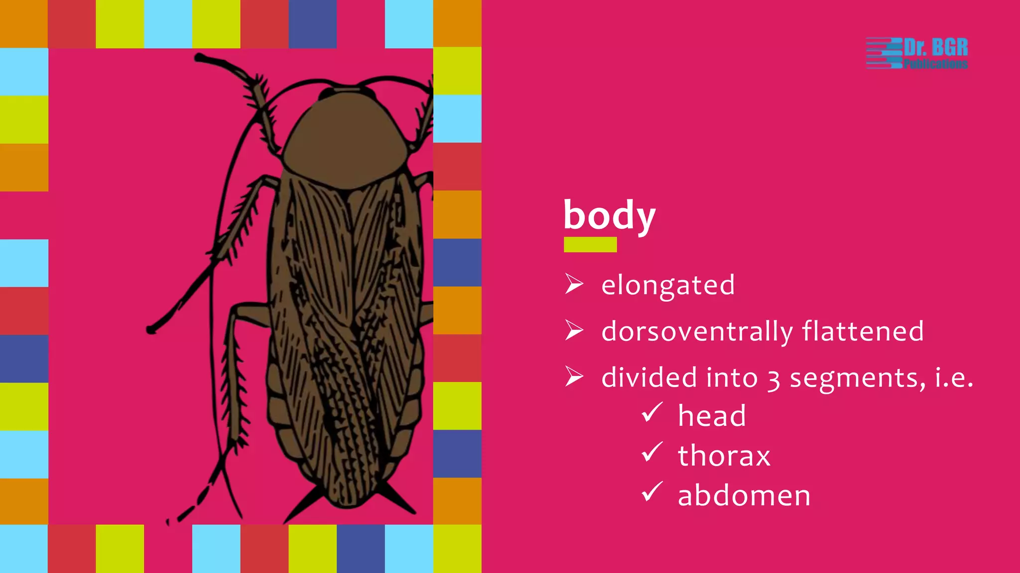 Digestive System of Cockroach | Dr.BGR Publications | PPTX