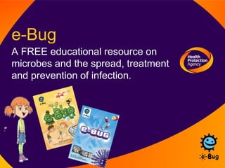 17. e bug | PPT