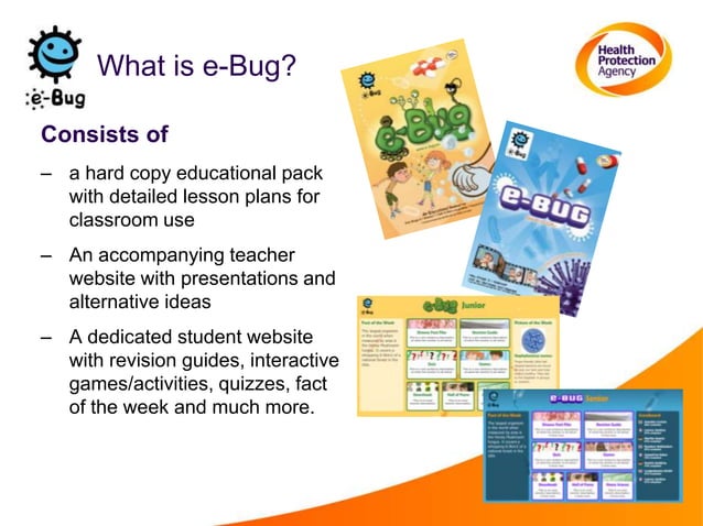17. e bug | PPT