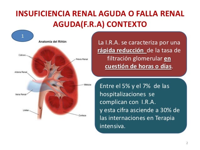 17 falla renal aguda