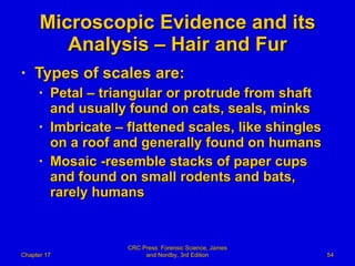 17 Forensic Science Powerpoint Chapter 17 Microanalysis Of Exam | PPT