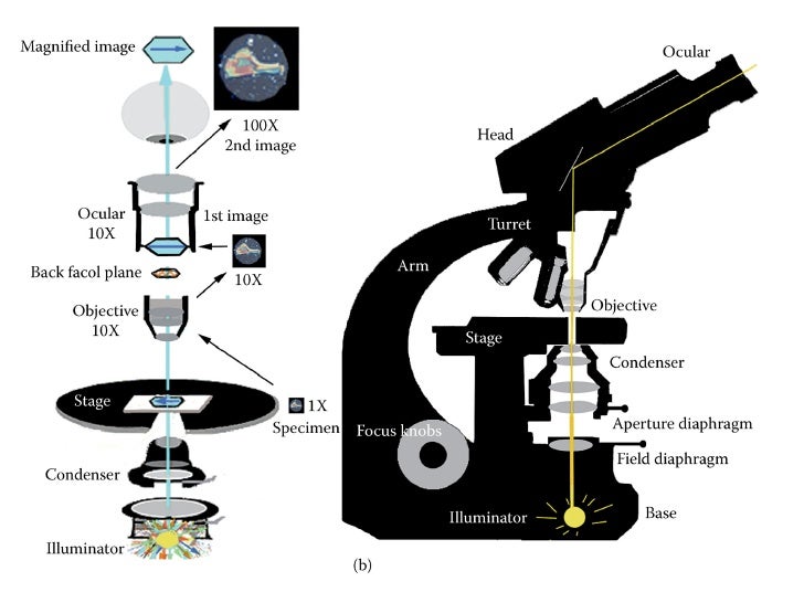17 Forensic Science Powerpoint Chapter 17 Microanalysis Of Exam