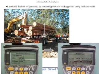 Forests NSW - Ian Cooper | PPT