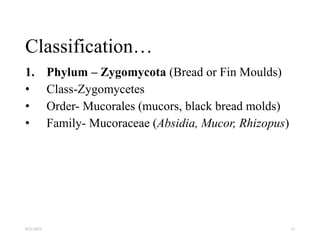 Medical Mycology - Taxonomic Classiffication of Fungi 2021.pptx