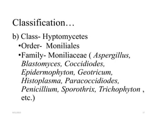 Medical Mycology - Taxonomic Classiffication of Fungi 2021.pptx