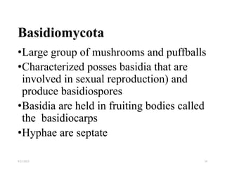 Medical Mycology - Taxonomic Classiffication of Fungi 2021.pptx