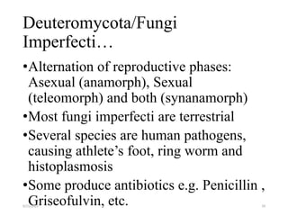 Medical Mycology - Taxonomic Classiffication of Fungi 2021.pptx